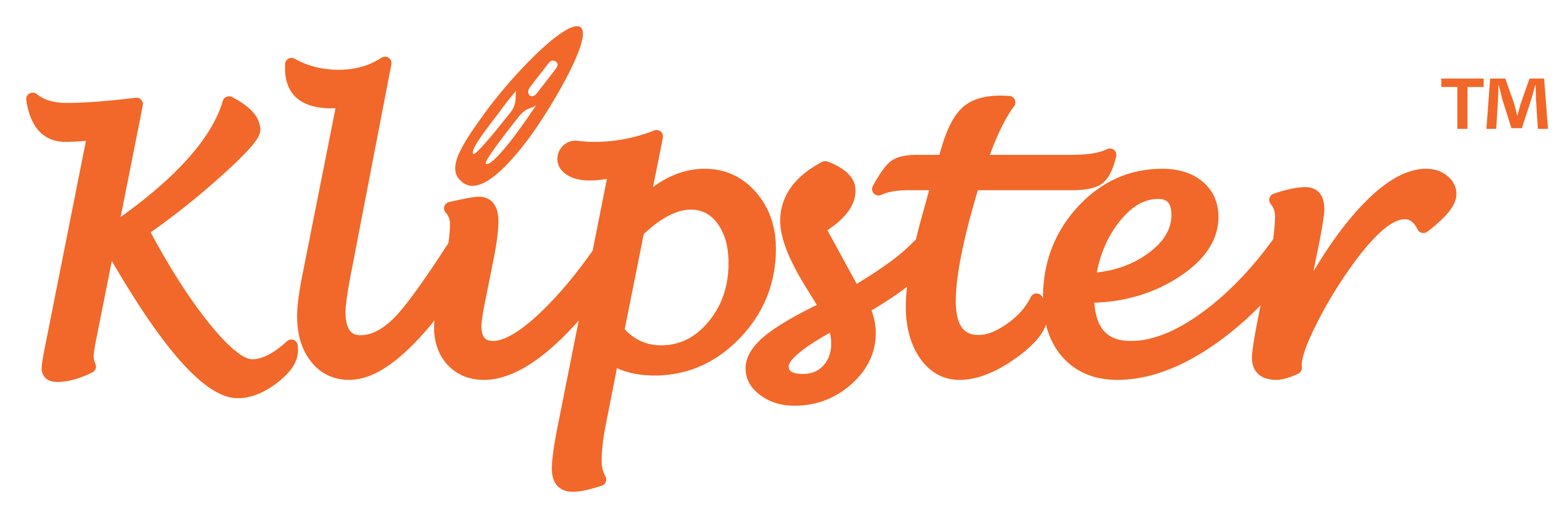 Klipster Double-Sided Hair Accessories Organizers – The Klipster